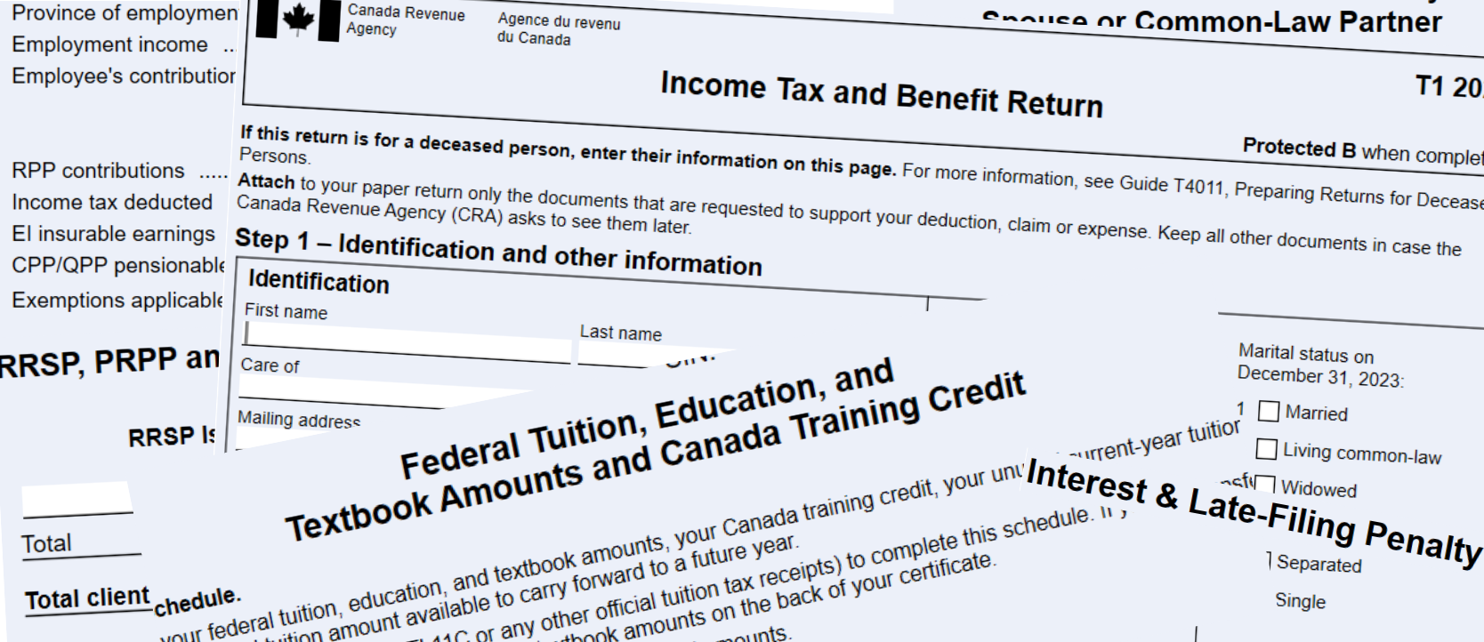 Services – Helping people with filing taxes. Let a professional do it